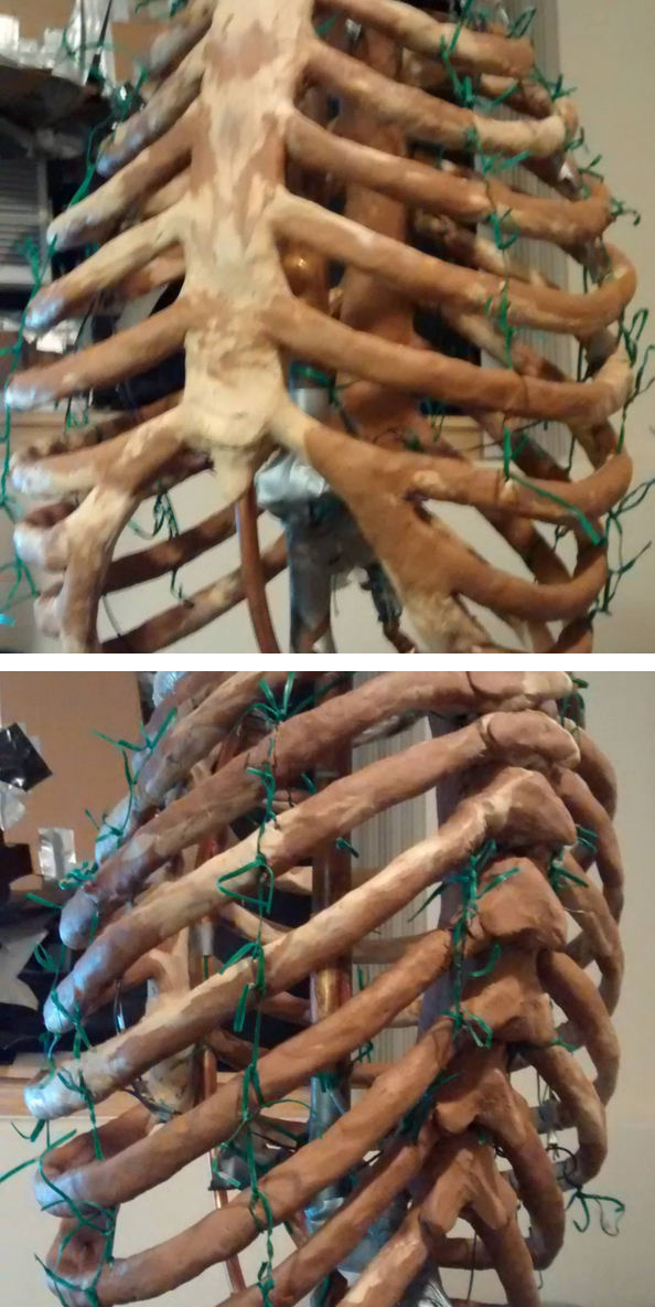 Ribcage Progress | All About Circuits